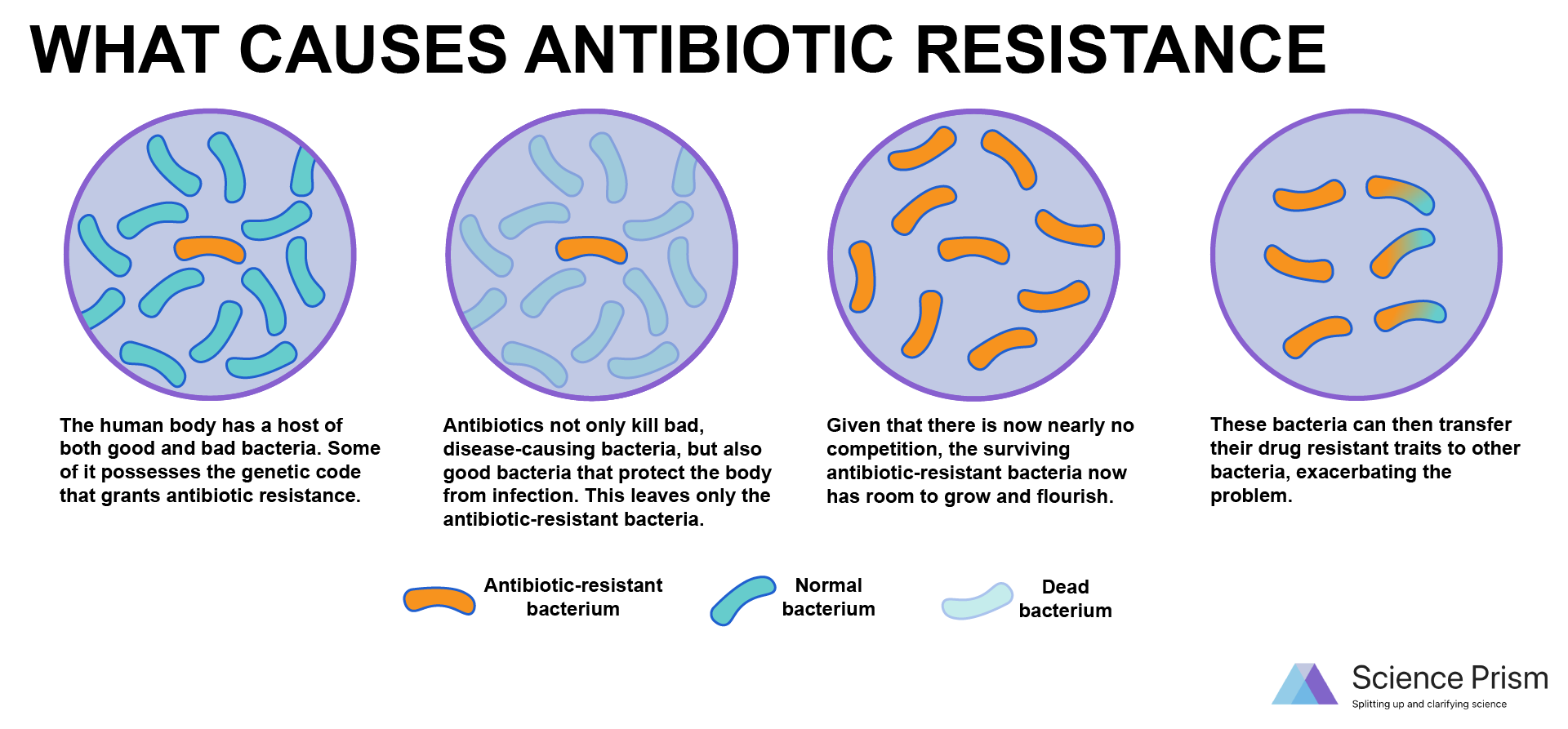 Why nobody should follow the health secretary’s example when it comes ...