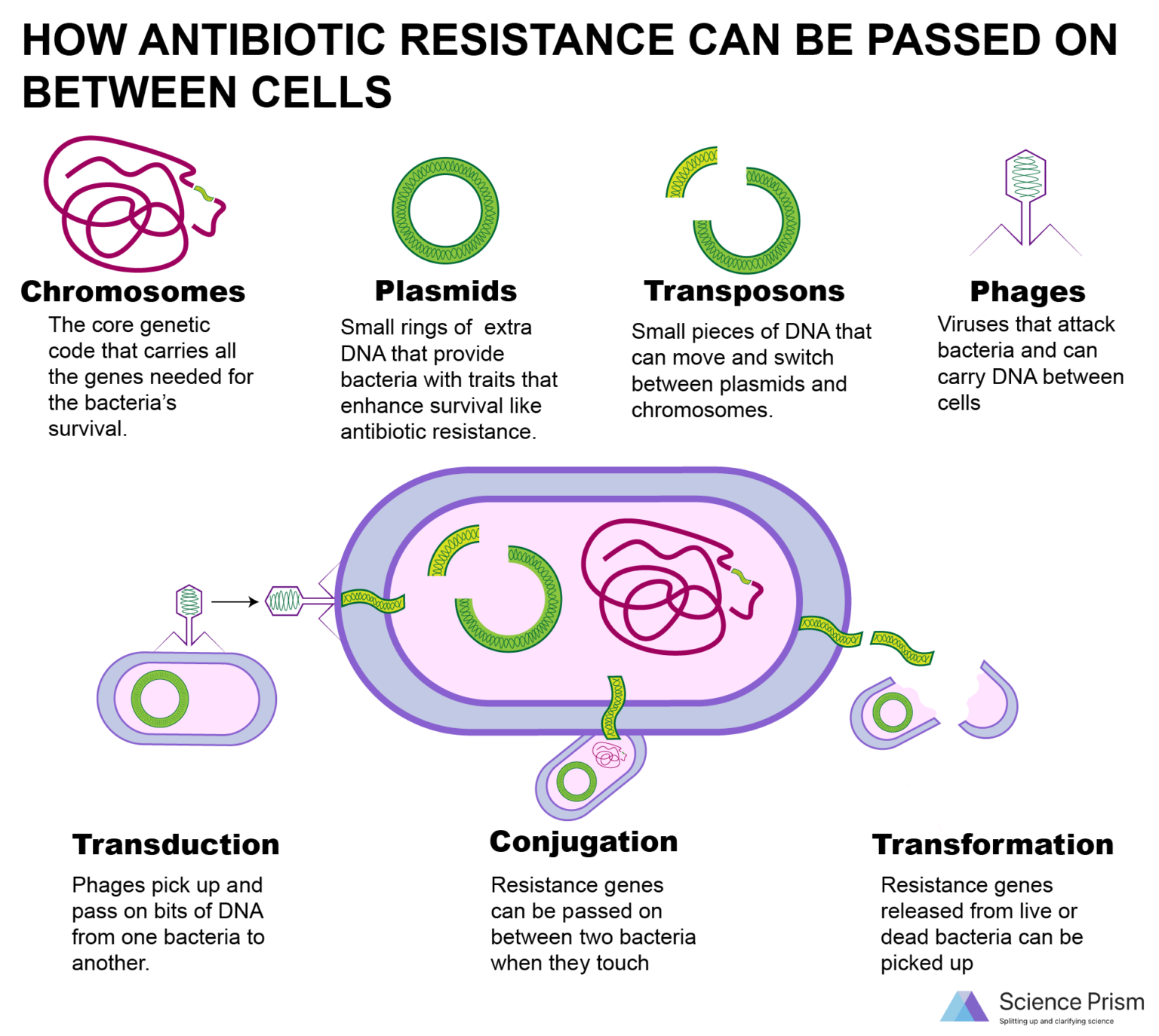 Why nobody should follow the health secretary’s example when it comes ...